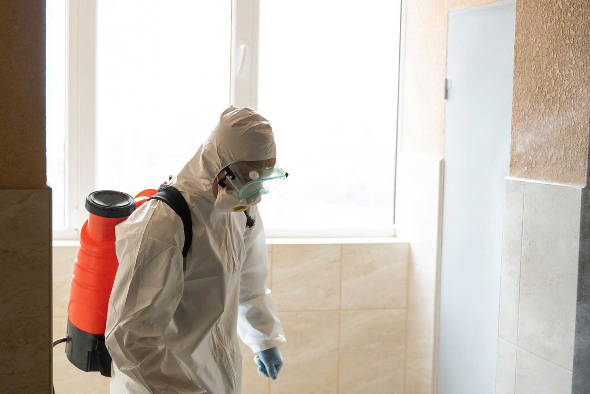 Alpha Pest Management